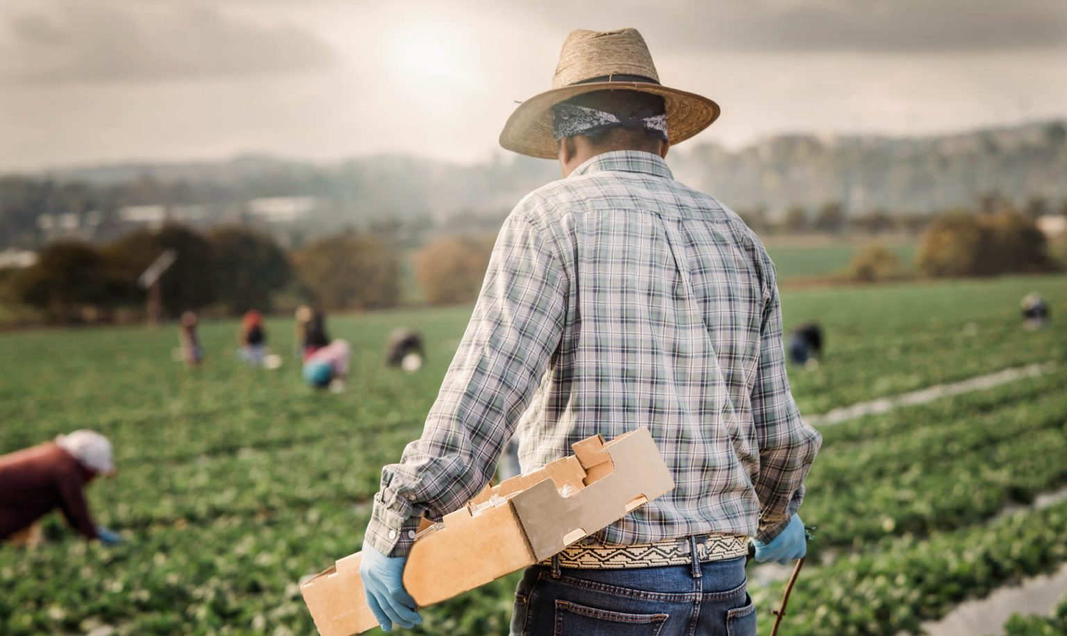 Labor Trafficking in the United States - The Exodus Road